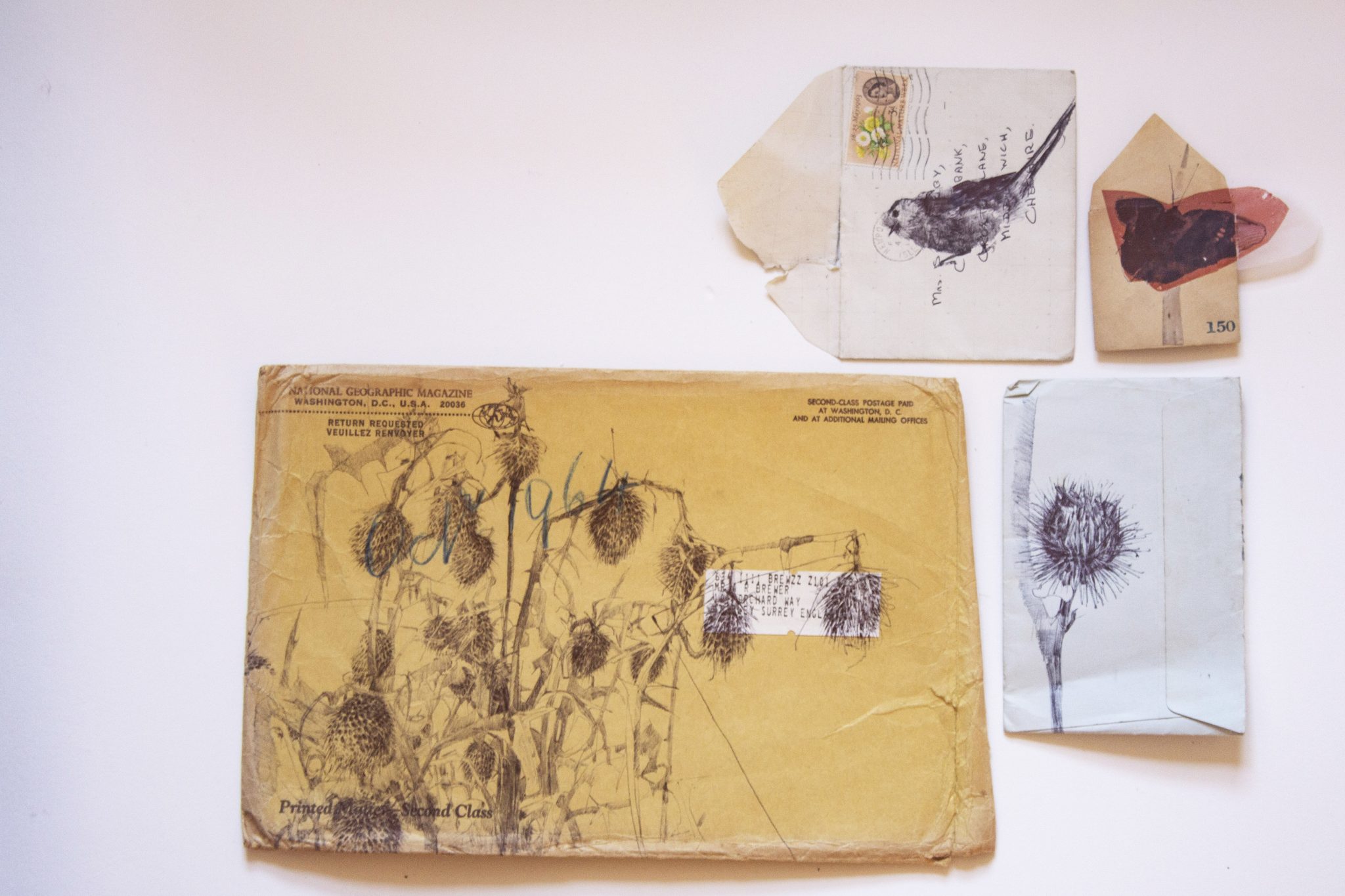 Mandy Cleveland - Back of the Envelope - Art Collection