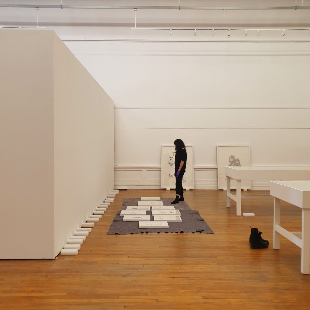 Exhibition: Stirrings - Rachel Goodyear - Art Collection- Art Collection