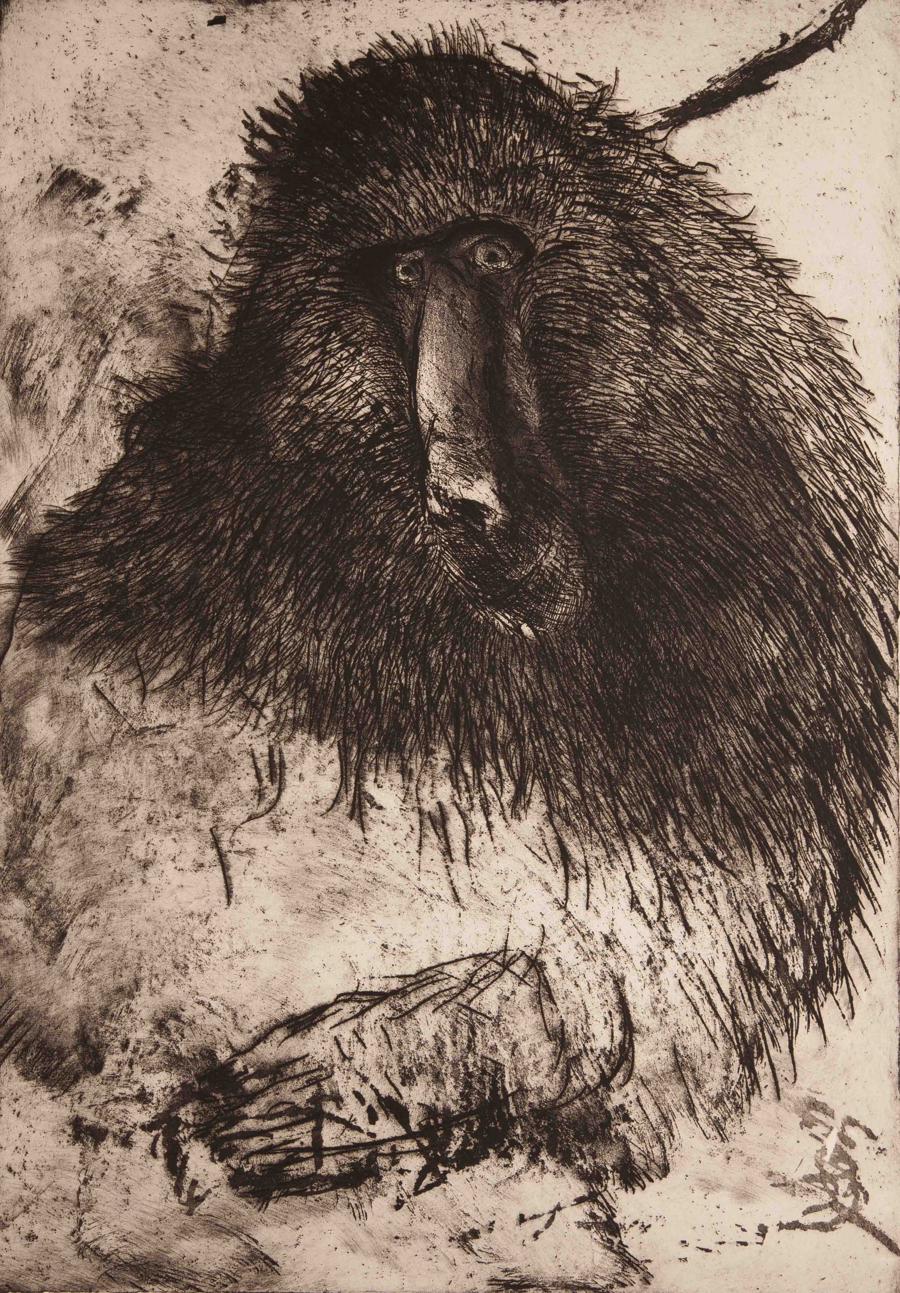 » The Filofax and the Ape: Material approaches to the work of Albert ...